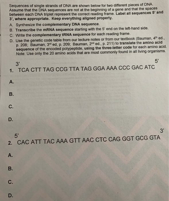 Solved Sequences of single strands of DNA are shown below | Chegg.com