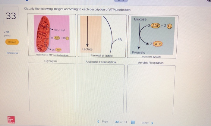Solved Hel Classify the following images according to each | Chegg.com Solved Hel Classify the following images according to each | Chegg.com