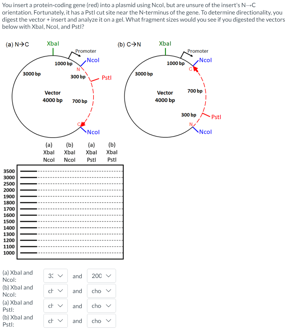 Solved need some help reading this chart i dont understand | Chegg.com