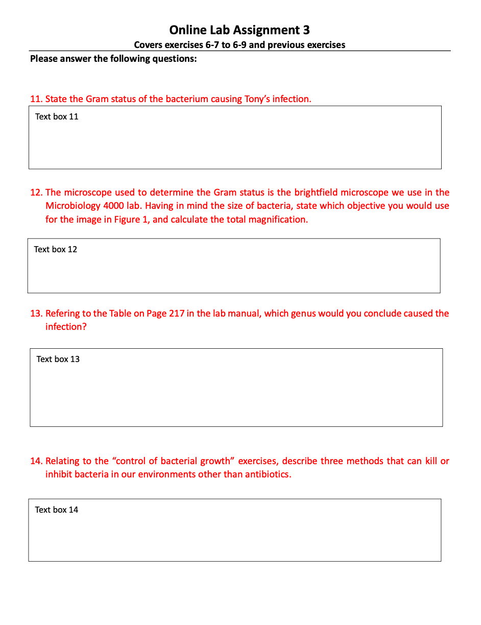 Solved Online Lab Assignment 3 Covers exercises 6-7 to 6-9 | Chegg.com