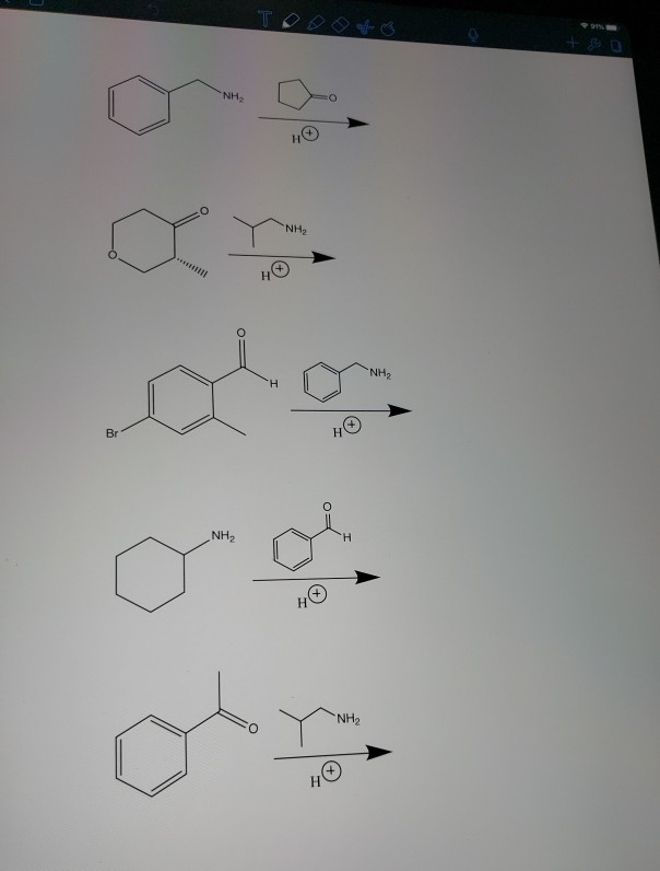 Solved N-H н NH2 H N-H NH2 NH2 H NH2 H H Br NH2 NH2 | Chegg.com