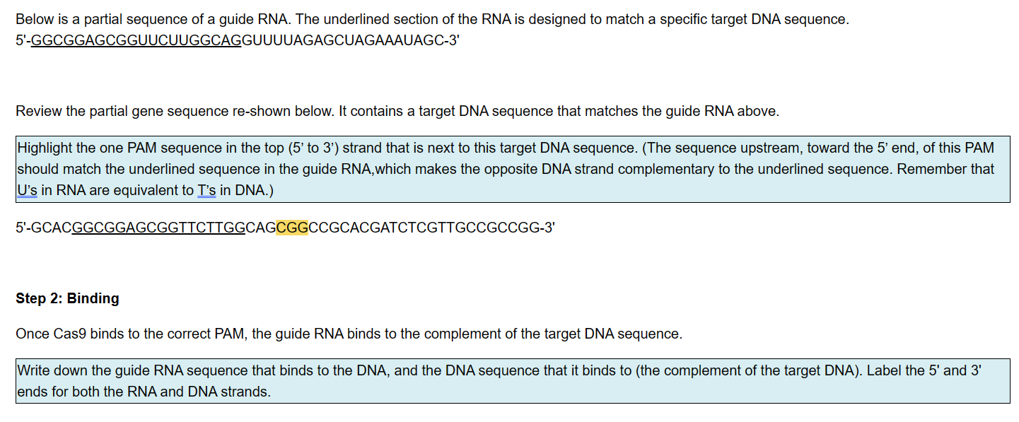 Solved I only need the following question answered from the | Chegg.com