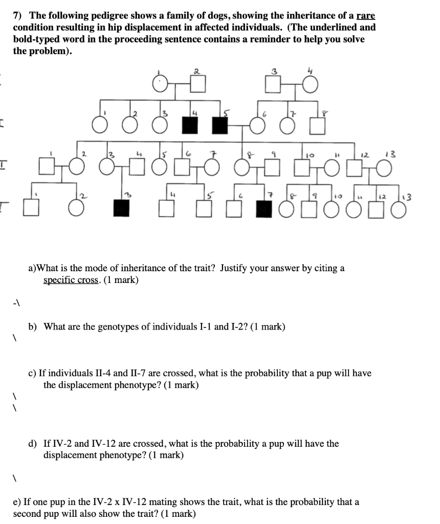 7) The following pedigree shows a family of dogs, | Chegg.com