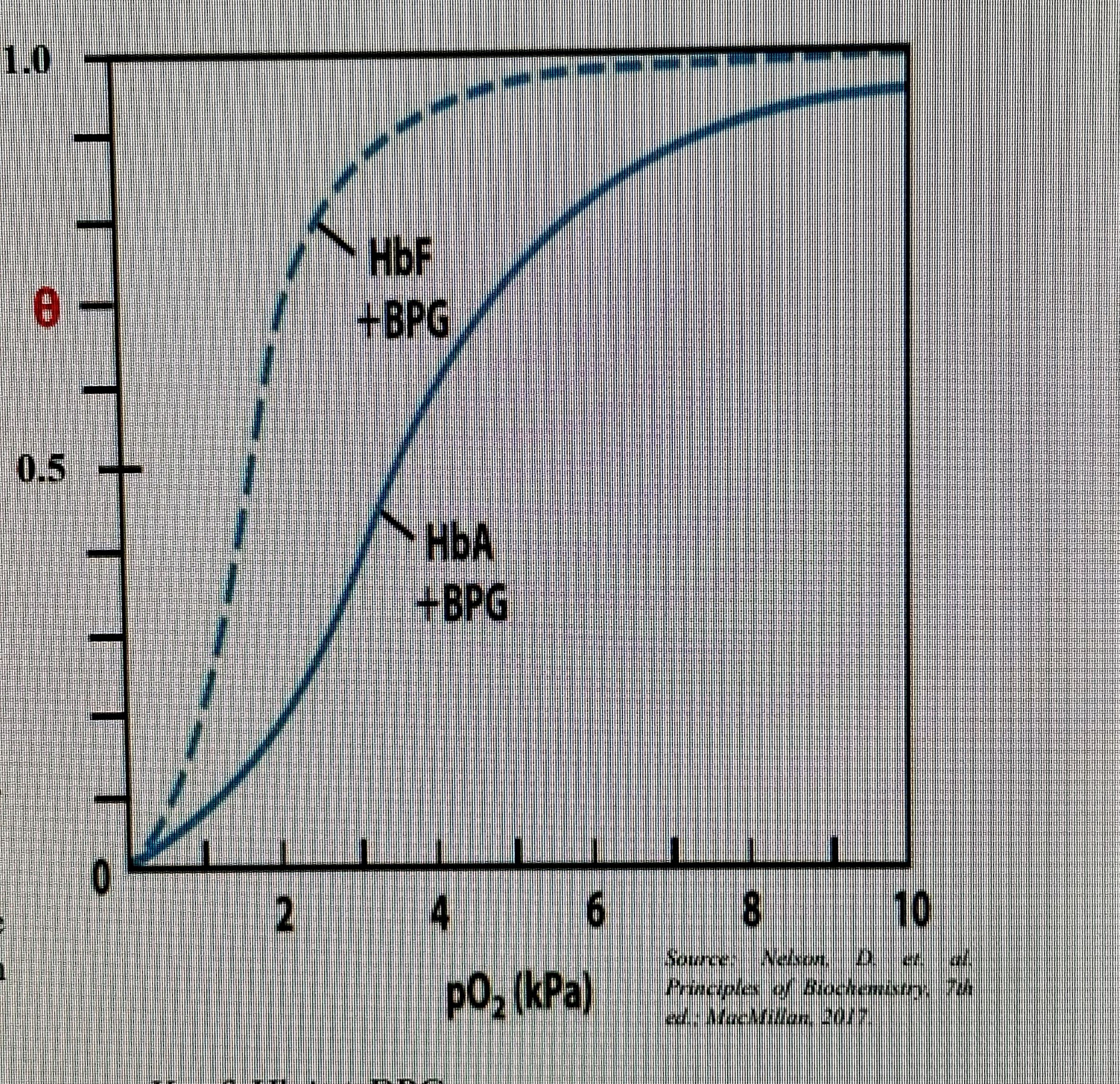 Solved The hemoglobin in the fetus (HbF) is a structural | Chegg.com