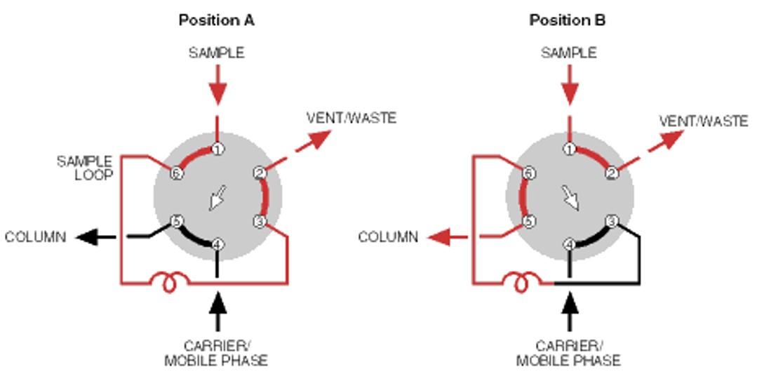 Hplc Sample Loop