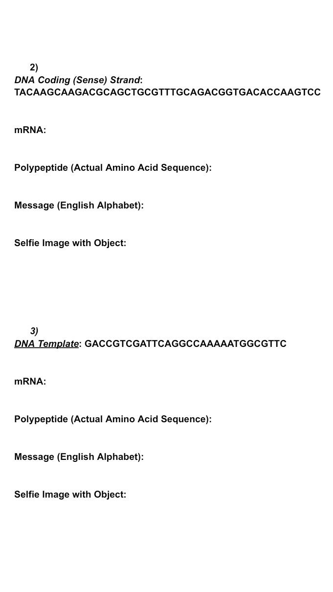 Solved Gene Expression Scavenger Hunt Please utilize your | Chegg.com