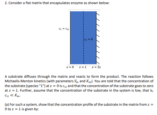 Solved 2. Consider a flat matrix that encapsulates enzyme as | Chegg.com