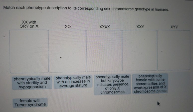 Solved Match each phenotype description to its corresponding | Chegg.com