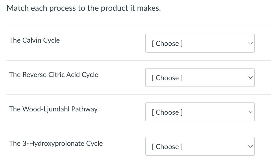 Solved Match each process to the product it makes. The | Chegg.com
