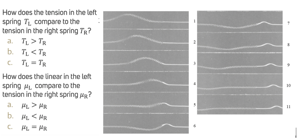 Solved How does the tension in the lel spring TL compare to | Chegg.com