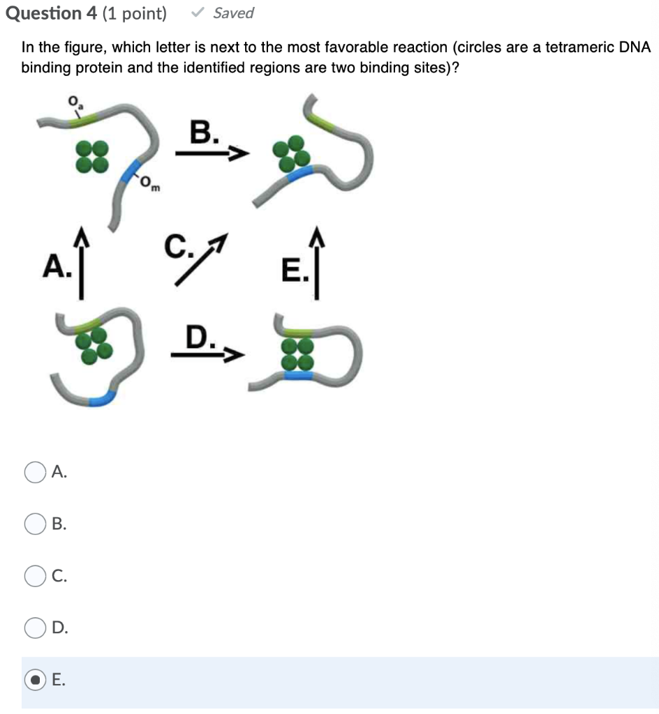 Solved Question 4 1 Point Saved In The Figure Which 