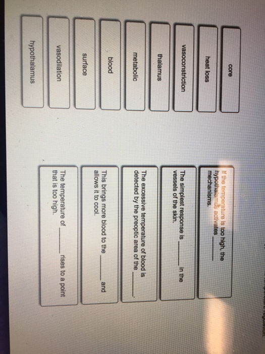 Solved In order to complete each sentence click and drag | Chegg.com