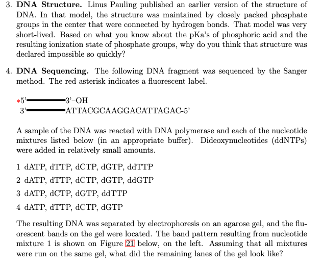 Solved 3. DNA Structure. Linus Pauling published an earlier | Chegg.com