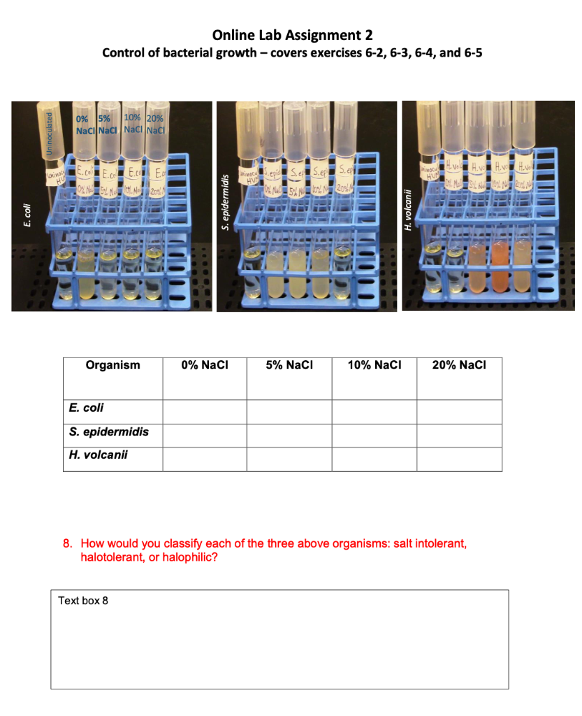 Solved Online Lab Assignment 2 Control of bacterial growth - | Chegg.com