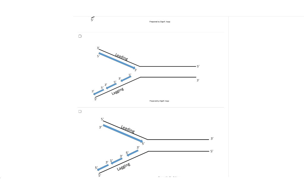 Solved Question 4 1 pts Which of the following diagrams is a | Chegg.com