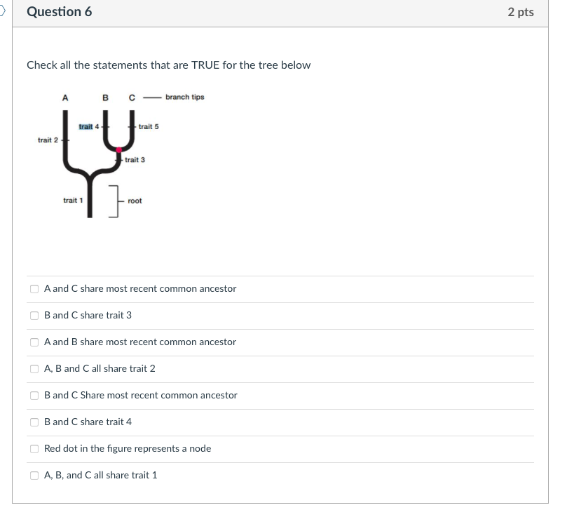 Solved > Question 6 2 pts Check all the statements that are | Chegg.com