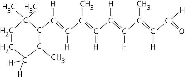 Solved This is the trans isomer of retinal. Where would it | Chegg.com