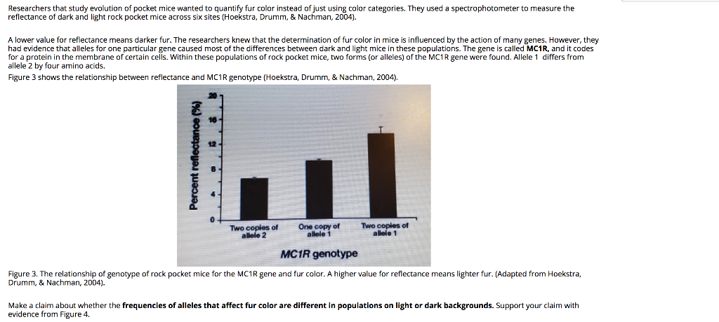 Solved Researchers that study evolution of pocket mice | Chegg.com