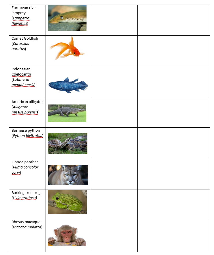 Solved Fill out the table below with the correct vertebrate | Chegg.com