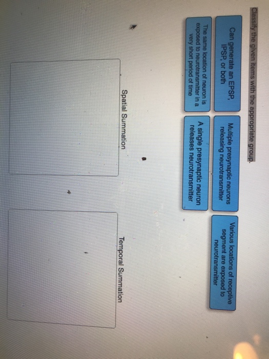 Solved of Can generate an EPSP Multiple neurons IPSP, or | Chegg.com
