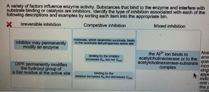 Solved A variety of factors influence enzyme activity. | Chegg.com