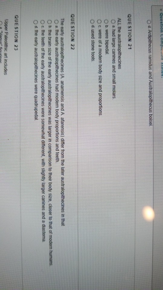 Solved stralopithecus boisei QUESTION 21 ALL the | Chegg.com