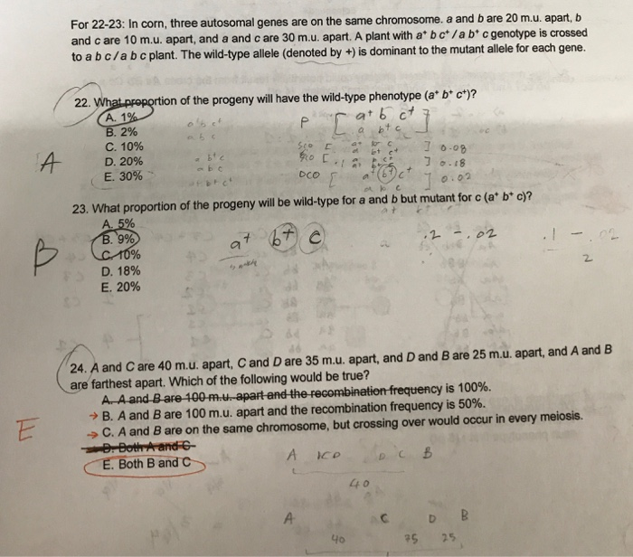 Solved pleae answer 6 and 7 and show workPlease answer 22-24 | Chegg.com