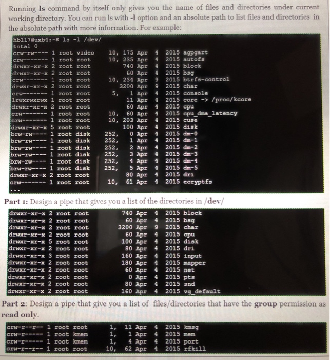 Solved Running Is command by itself only gives you the name | Chegg.com