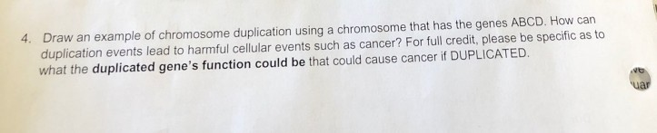 Solved 4. Draw an example of chromosome duplication using a | Chegg.com