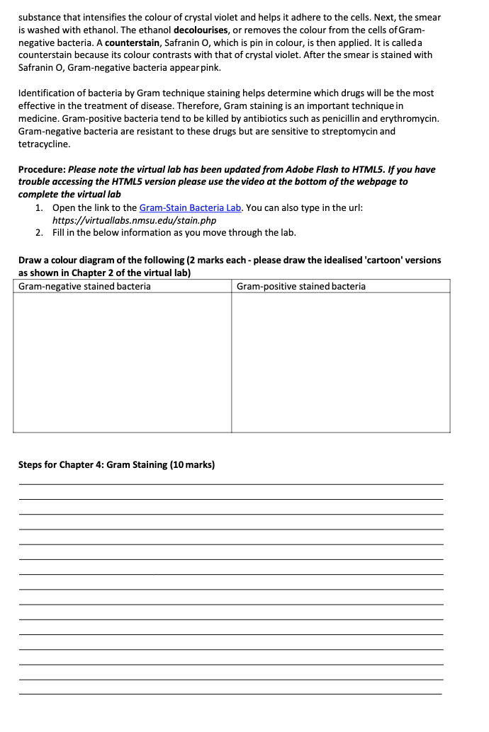Lab Activity 2: Gram Staining of Bacteria This Lab is | Chegg.com