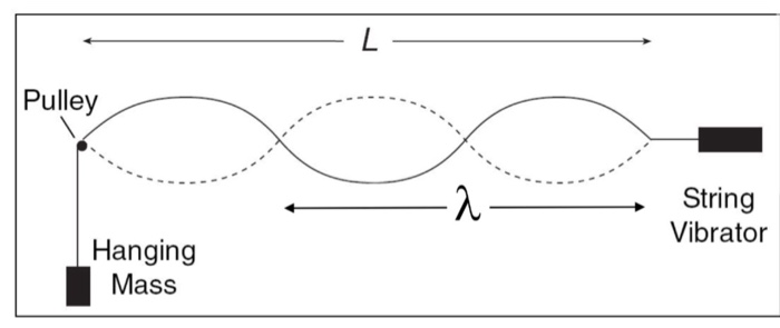 Solved 5. With the wave vibrating in two segments, the | Chegg.com