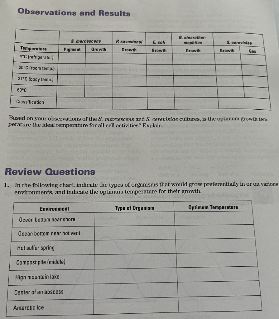 Solved Observations and Results Based on your observations | Chegg.com
