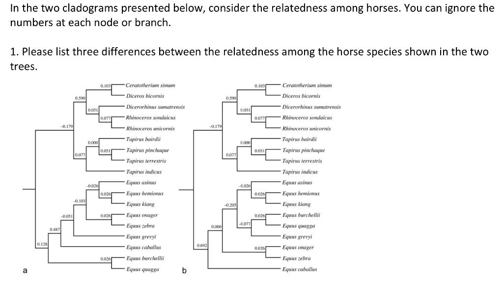 Solved In the two cladograms presented below, consider the | Chegg.com