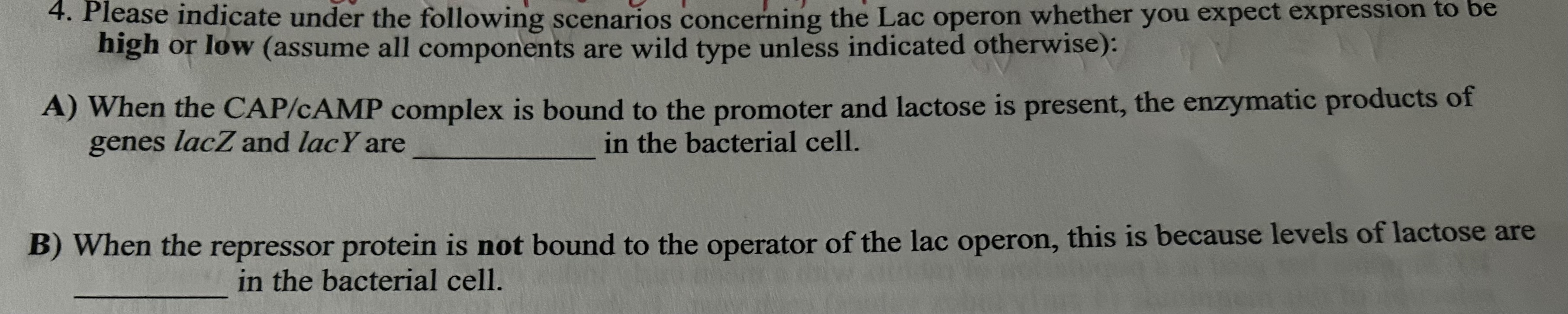 Solved A) When the CAP/cAMP complex is bound to the promoter | Chegg.com