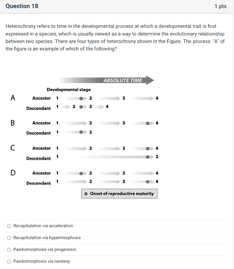 Solved Heterochrony refers to time in the developmental | Chegg.com