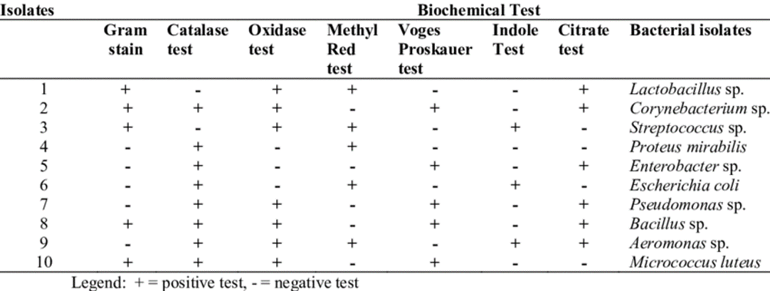 Solved Using the biochemical test chart provided, construct | Chegg.com