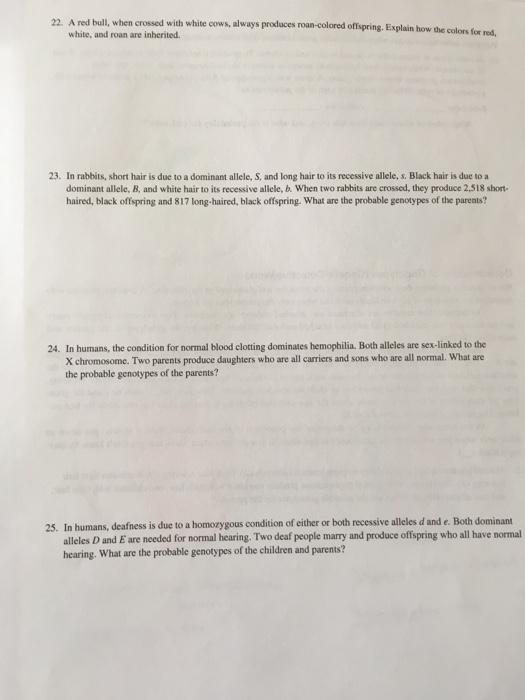 Solved Polygenic Inheritance Polygenic Inheritance Occurs 