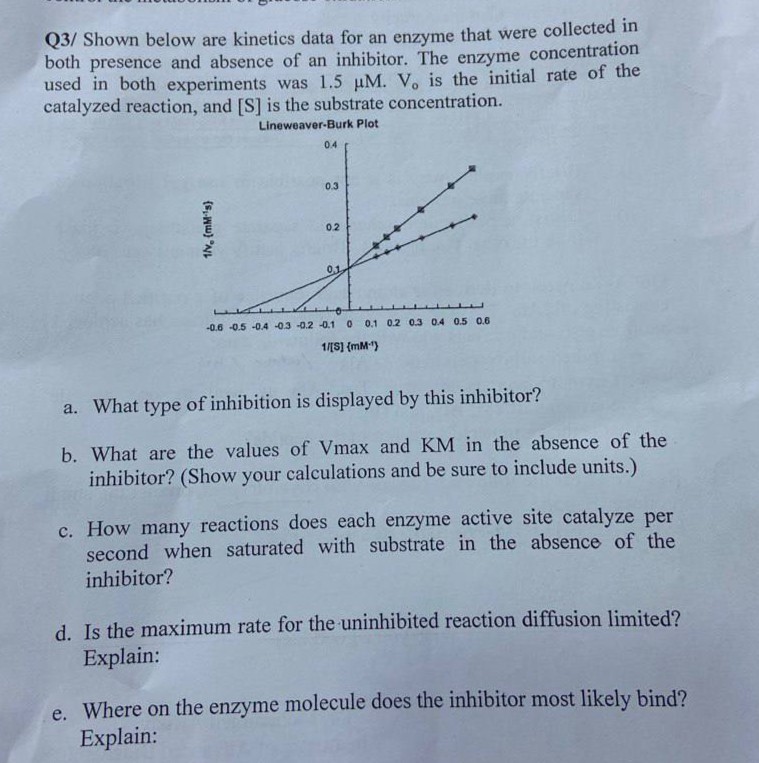 Solved both presence and absence of an inhibitor. The enzyme | Chegg.com