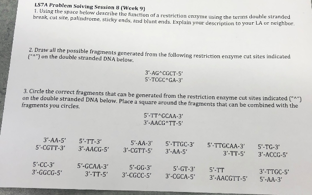 Solved LS7A Problem Solving Session 8 (Week 9) 1. Using the | Chegg.com