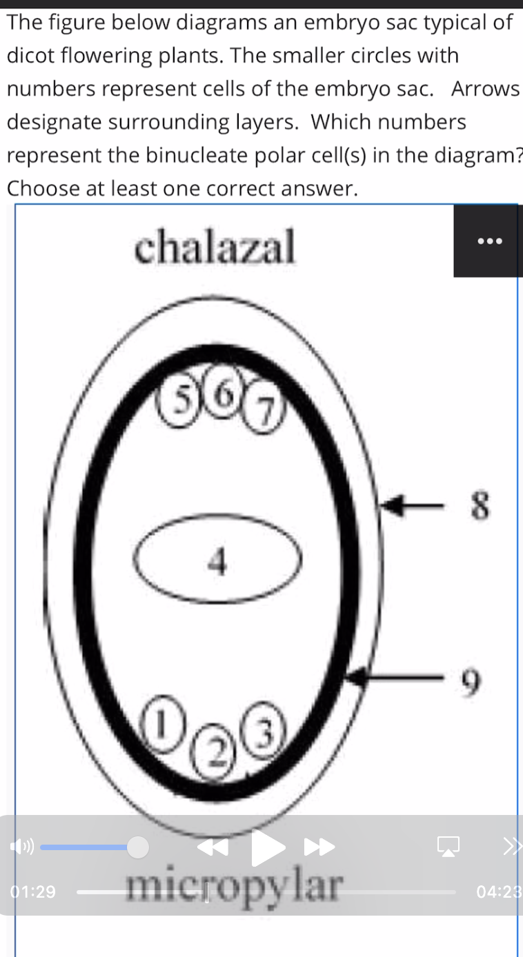 Solved The figure below diagrams an embryo sac typical of | Chegg.com