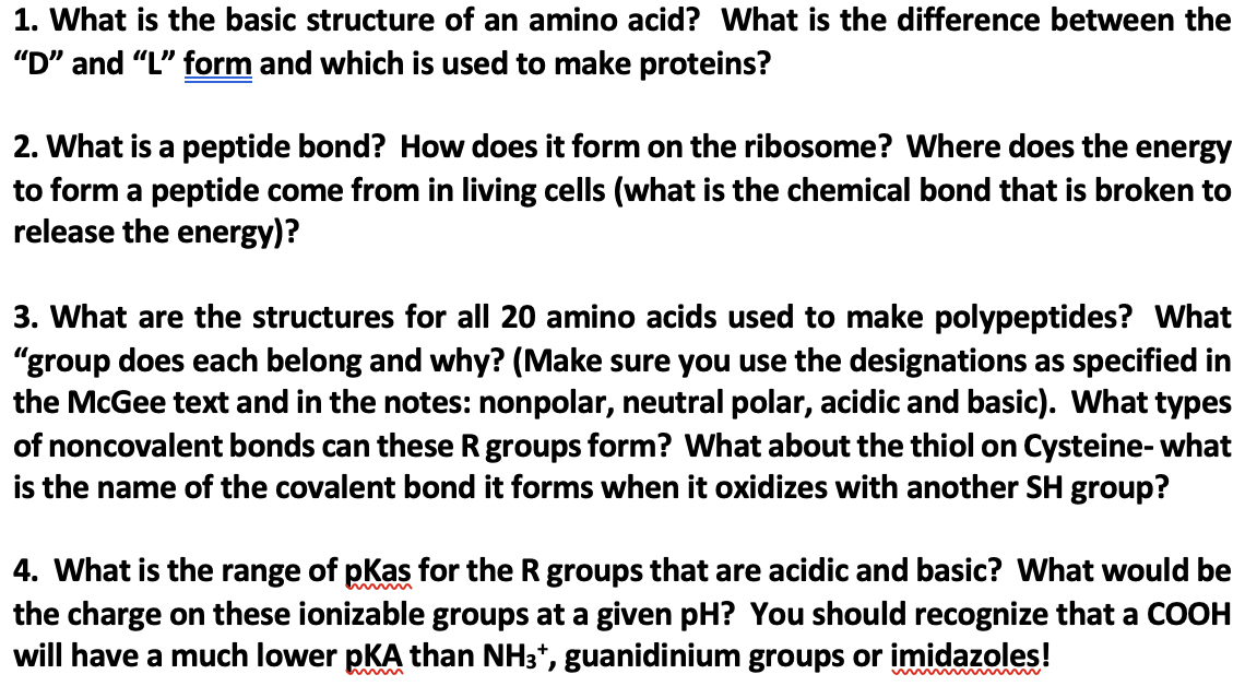 Solved 1. What is the basic structure of an amino acid? What | Chegg.com