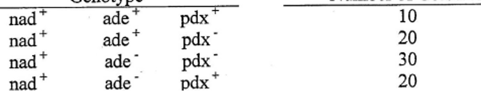 Solved In a generalized transduction cross using P1 phage, | Chegg.com