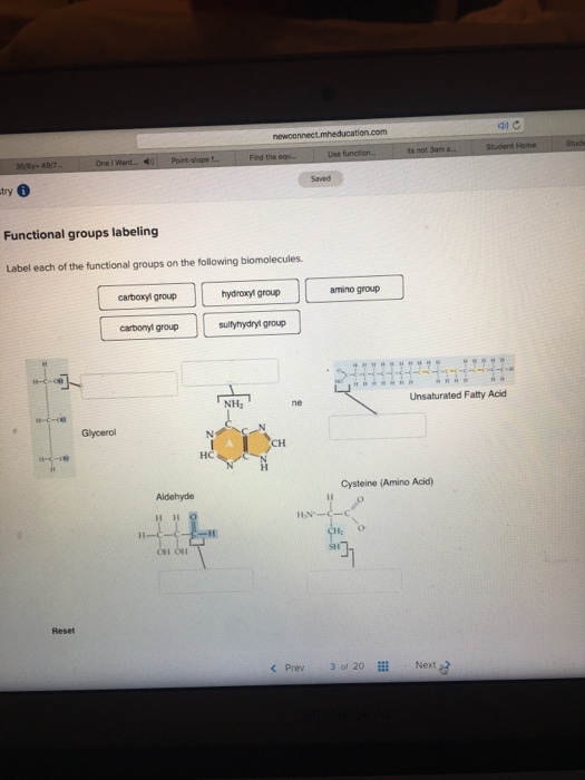 Solved try Functional groups labeling Label each of the | Chegg.com Solved try Functional groups labeling Label each of the | Chegg.com