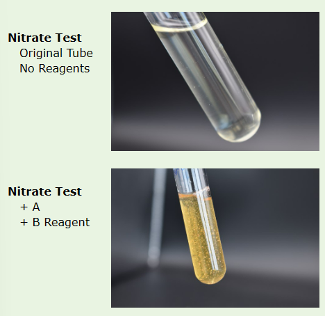 Solved Nitrate test observations a. Color after reagents A | Chegg.com