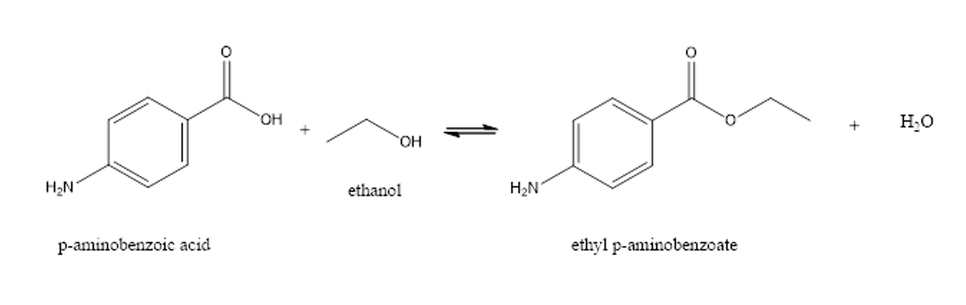 Solved Benzocaine can be prepared by a Fischer | Chegg.com