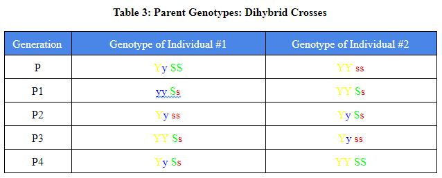 Solved Table 3: Parent Genotypes: Dihybrid Crosses - | Chegg.com