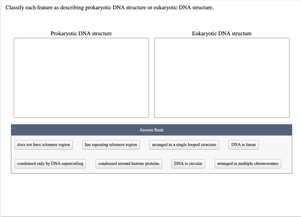 Solved Classify each feature as describing prokaryotic DNA | Chegg.com