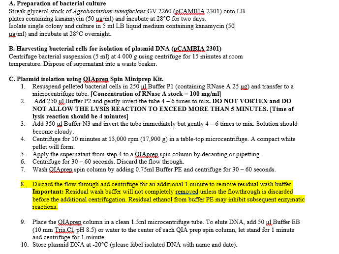Solved EXPERIMENT 1: Isolation of plasmid DNA from | Chegg.com