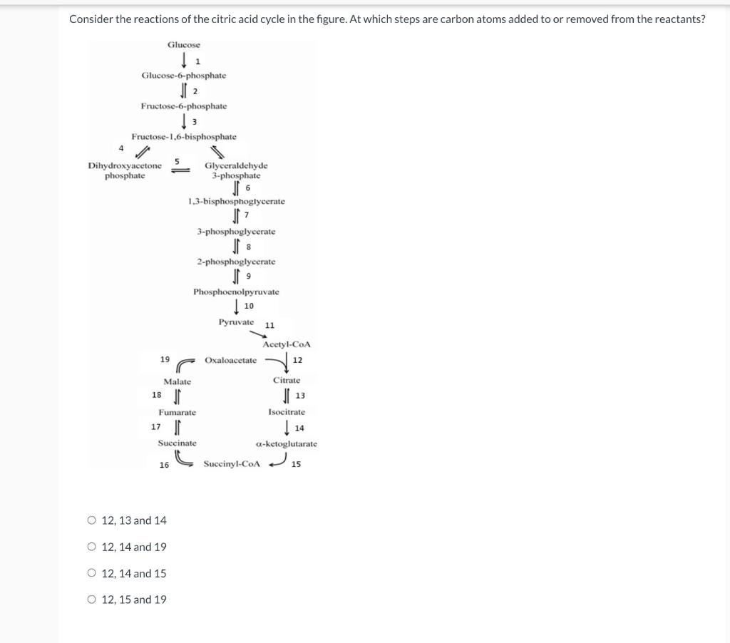 Solved 12,13 and 14 12,14 and 19 12,14 and 15 12,15 and 19 | Chegg.com