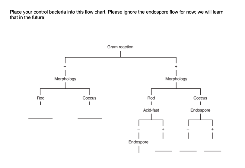 Solved These bacteria were grown in broth and slant | Chegg.com